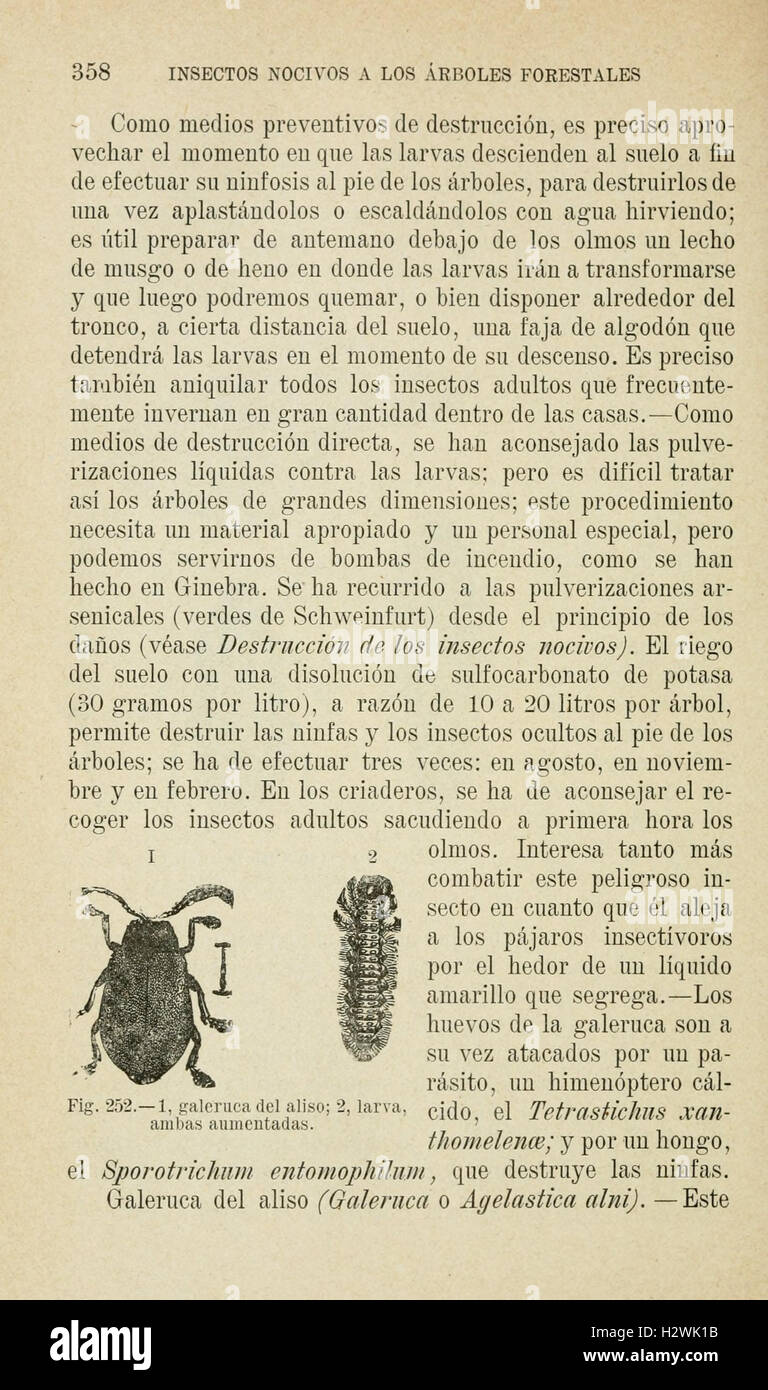 A work on agricultural entomology and parasitology, focusing on the ...
