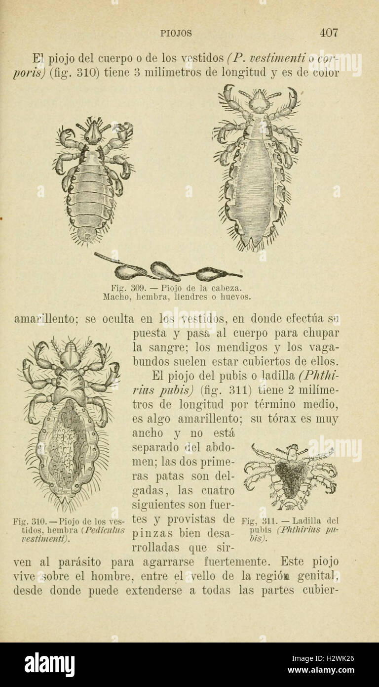 A study focusing on agricultural entomology and parasitology, exploring ...