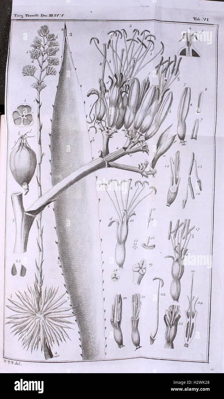 The annual journal of the Imperial Museum of Physics and Natural ...