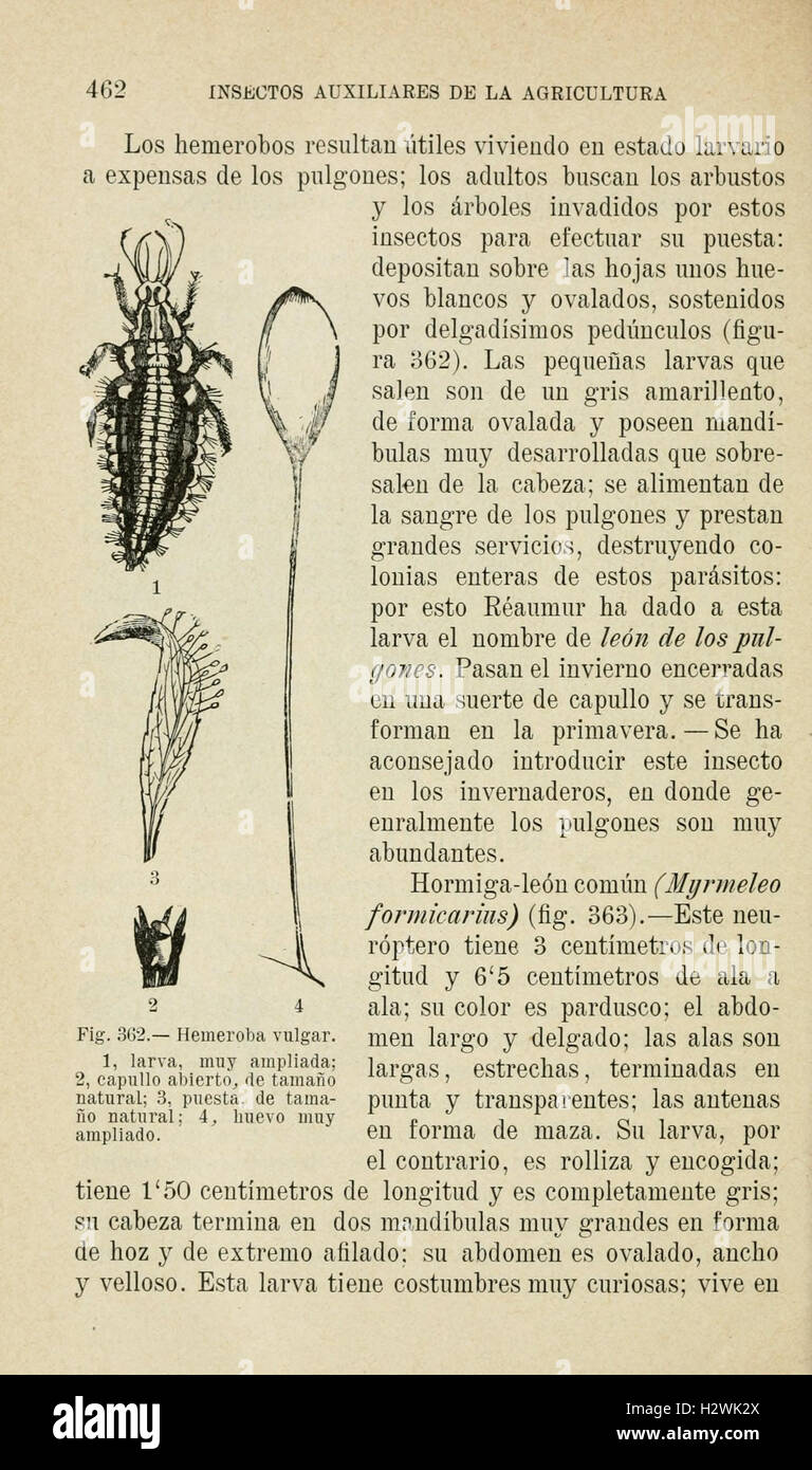 This work focuses on agricultural entomology and parasitology ...