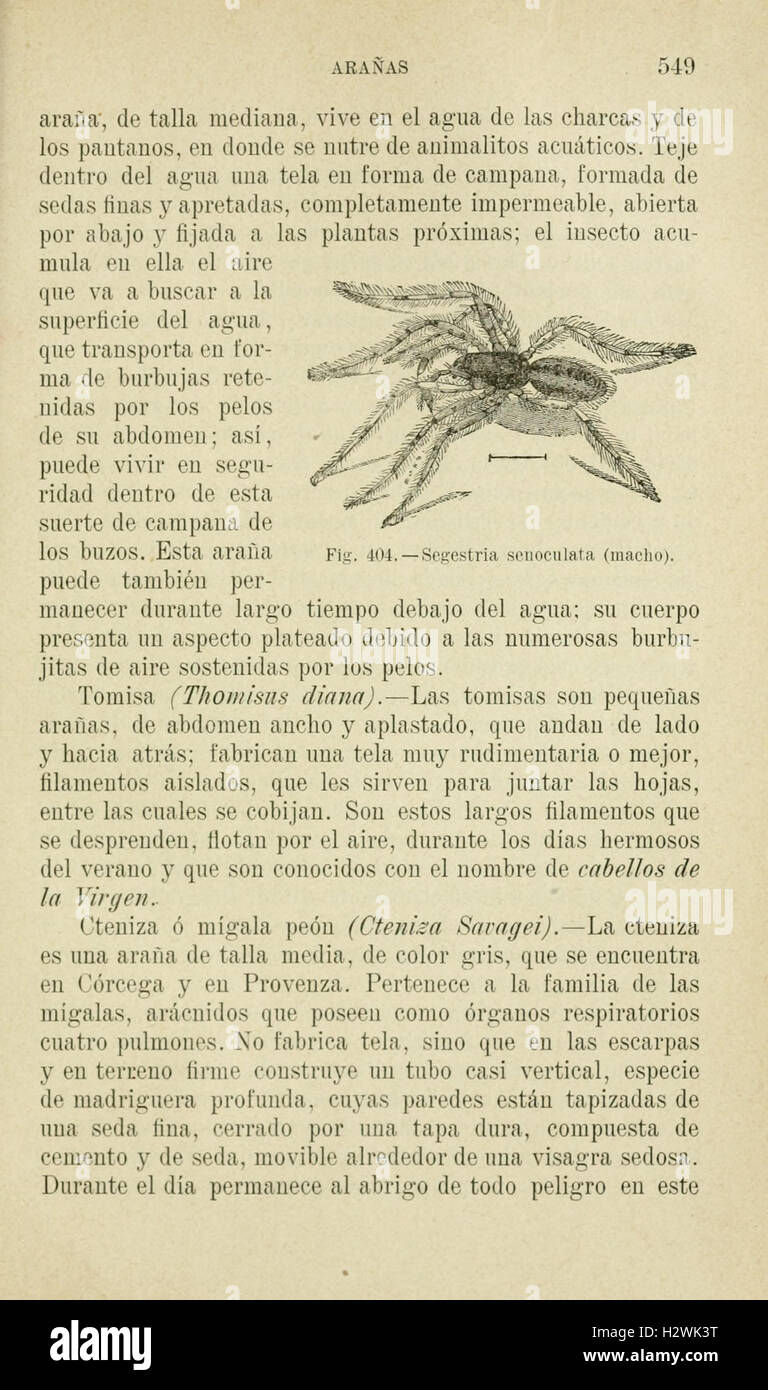 A work focused on agricultural entomology and parasitology, detailing ...