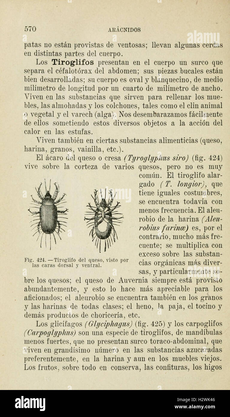 This work covers agricultural entomology and parasitology, detailing ...