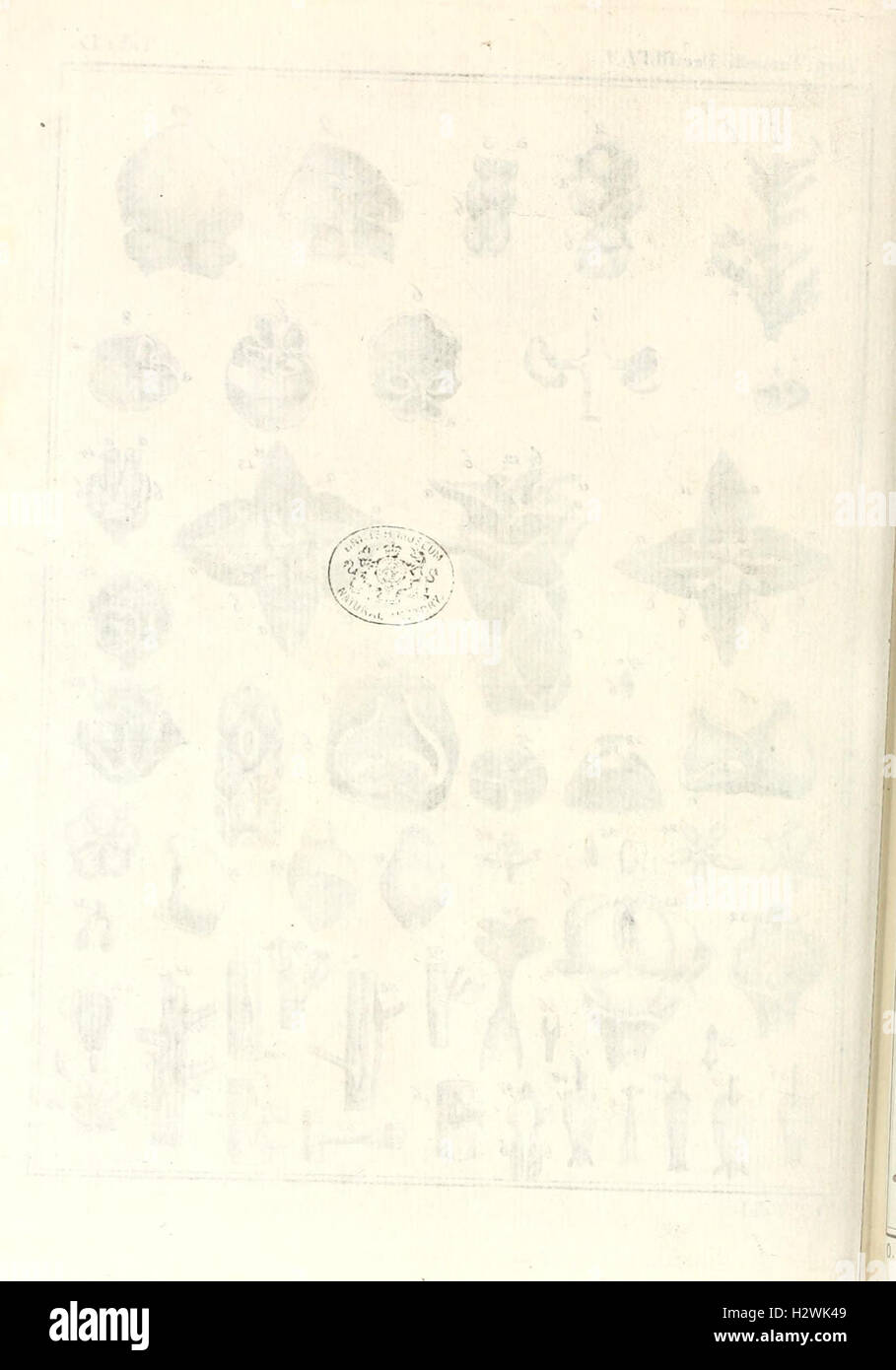 This annual publication from the Museum of Physics and Natural History ...