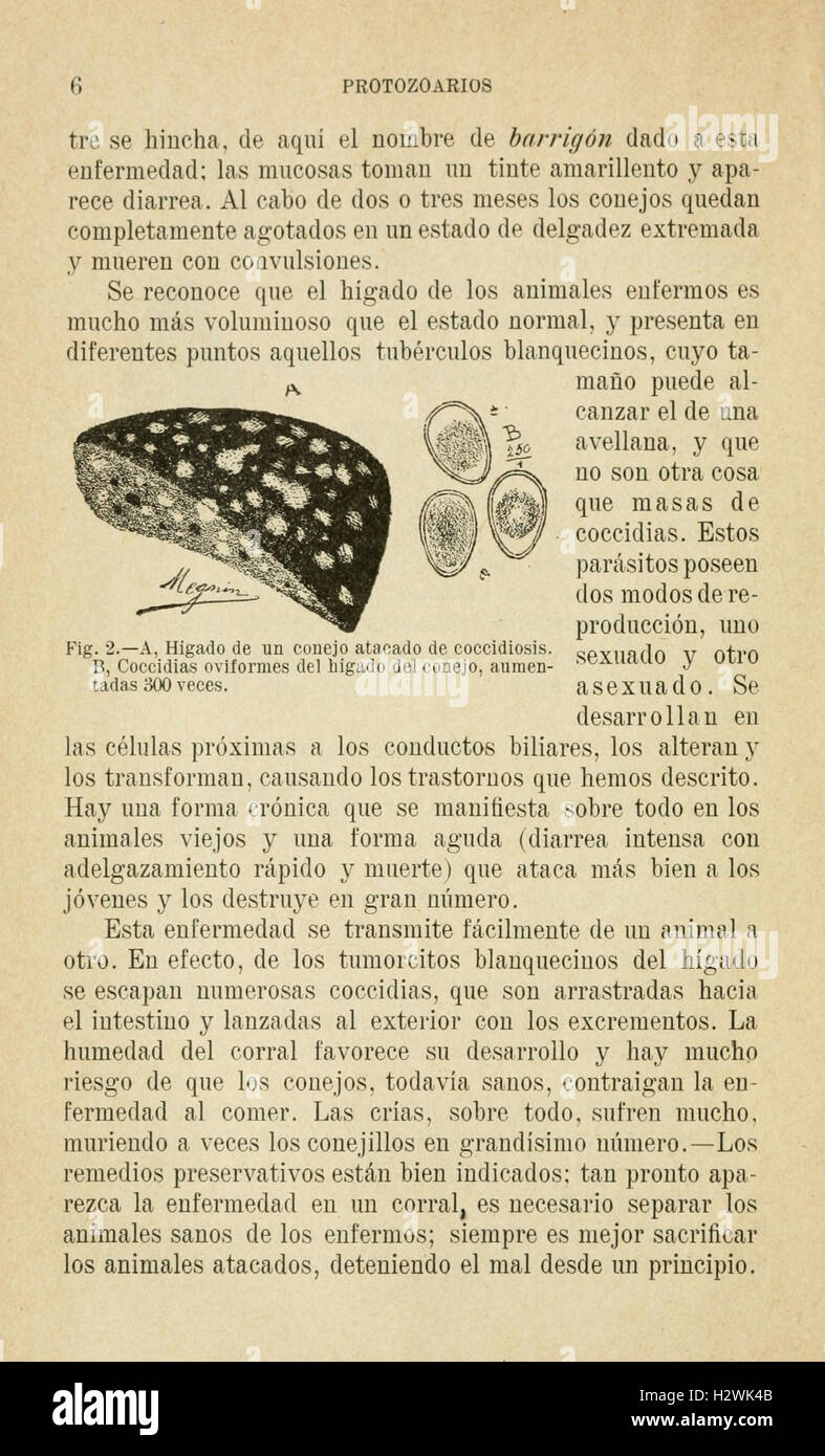 A study of agricultural entomology and parasitology, examining insect ...
