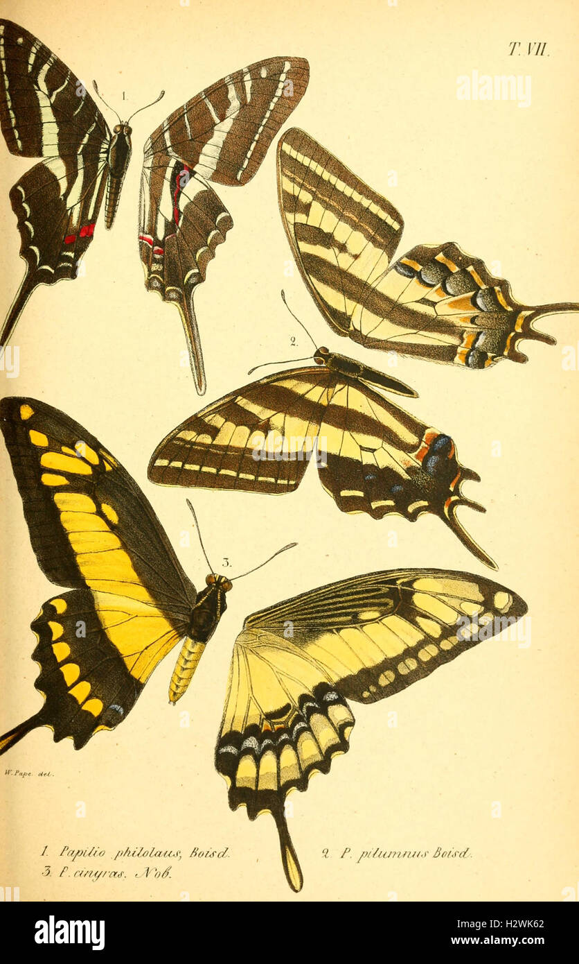 This volume is part of a comprehensive catalog of animal specimens ...
