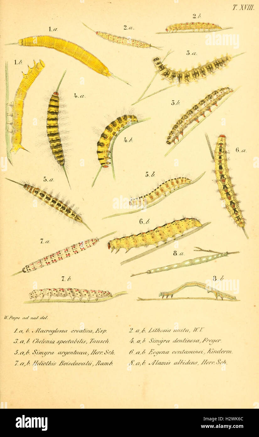 This work catalogs the animal specimens in the Imperial Museum of the ...