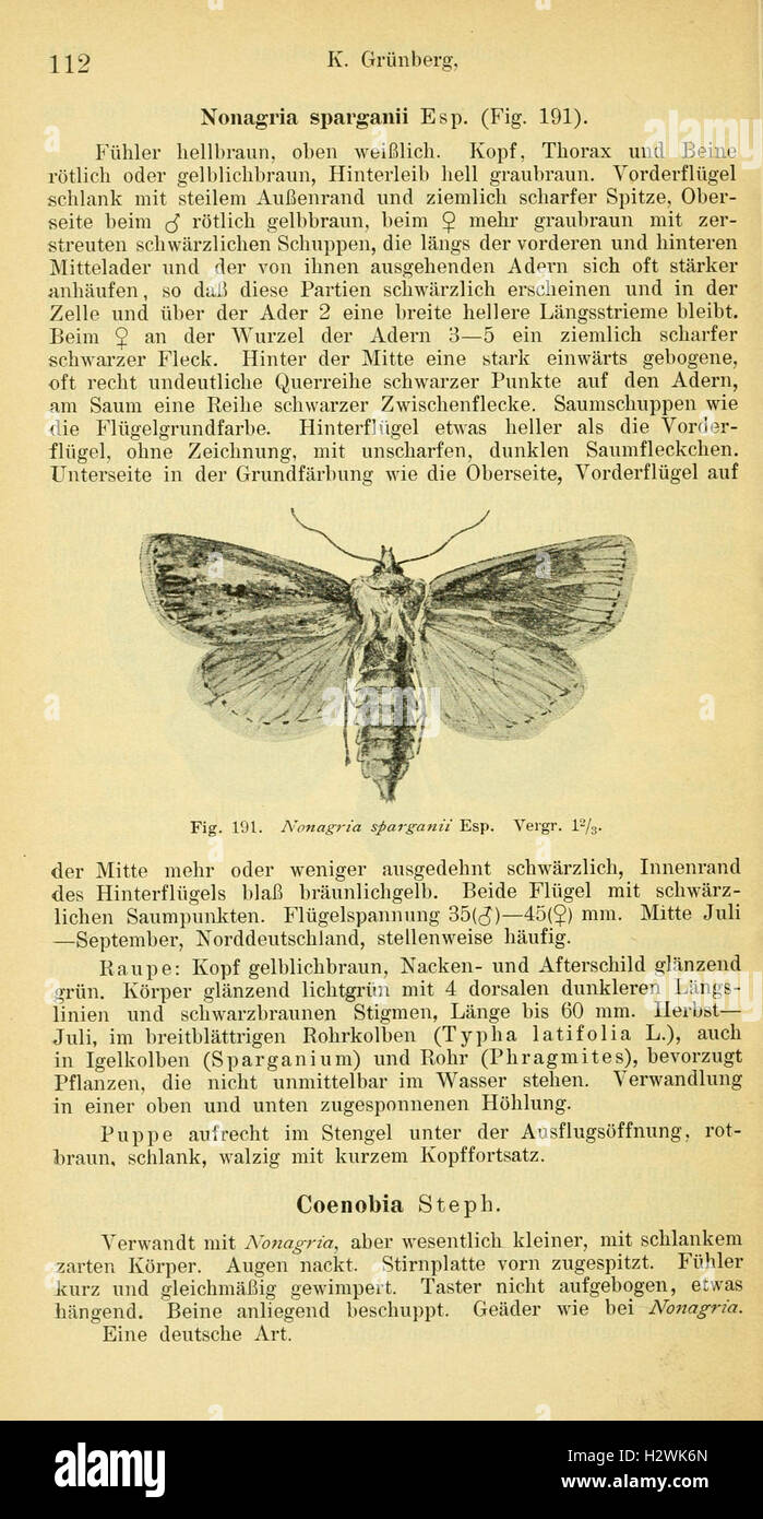 This document covers the life cycles and characteristics of Ephemerida ...