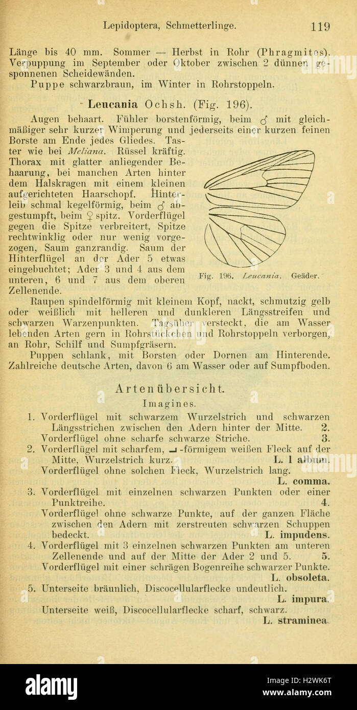 This work covers the classification and study of the Ephemerida ...