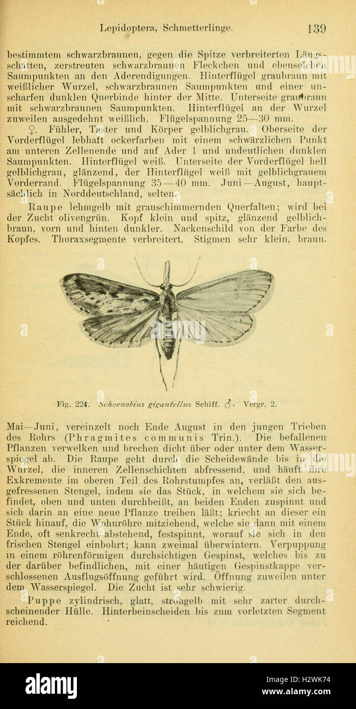 A scientific study of insect orders Ephemerida, Plecoptera, and ...