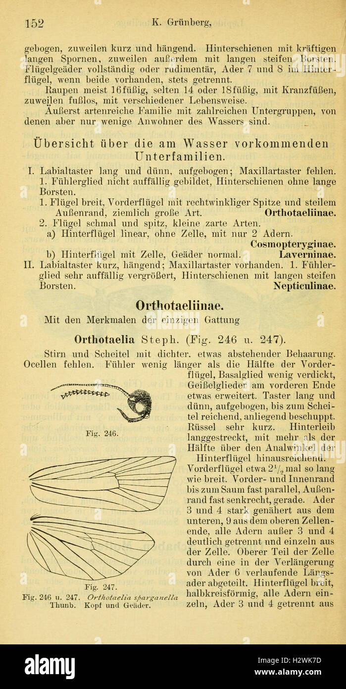 A study on the classification and characteristics of Ephemerida ...