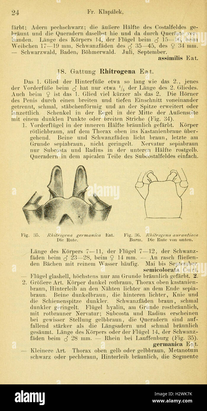 A study of Ephemerida, Plecoptera, and Lepidoptera orders of insects ...