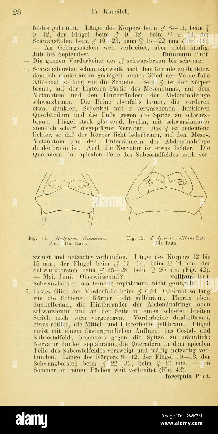 A scientific study of insects, focusing on the orders Plecoptera ...