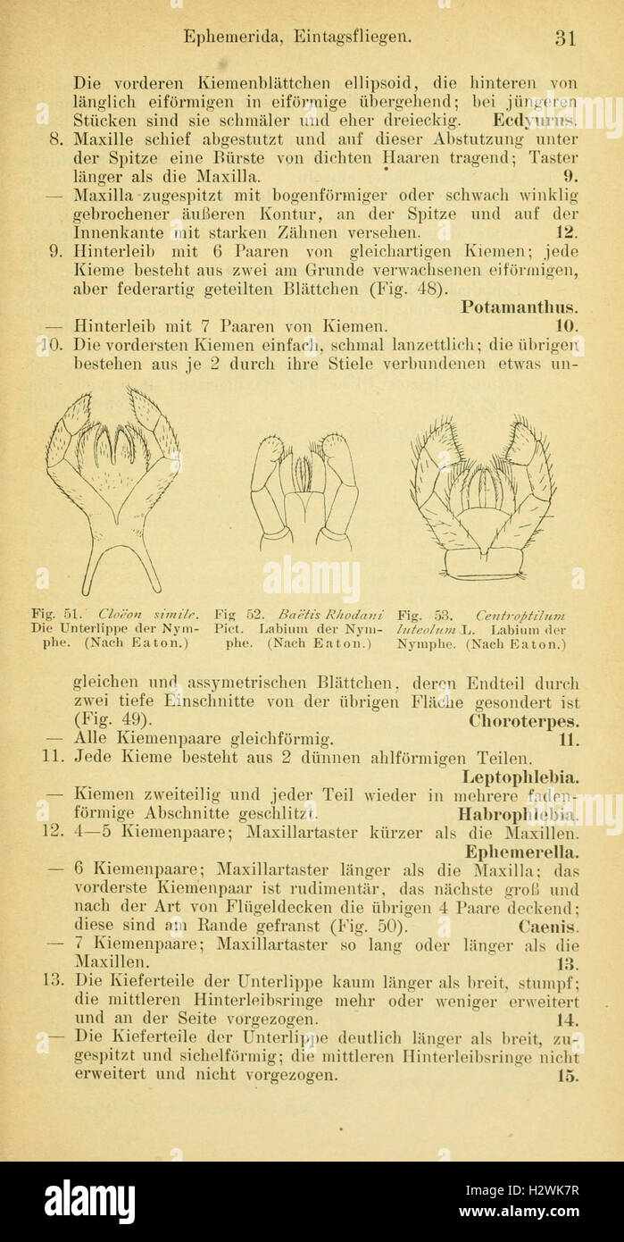 This section covers the insect orders Ephemerida (mayflies), Plecoptera ...