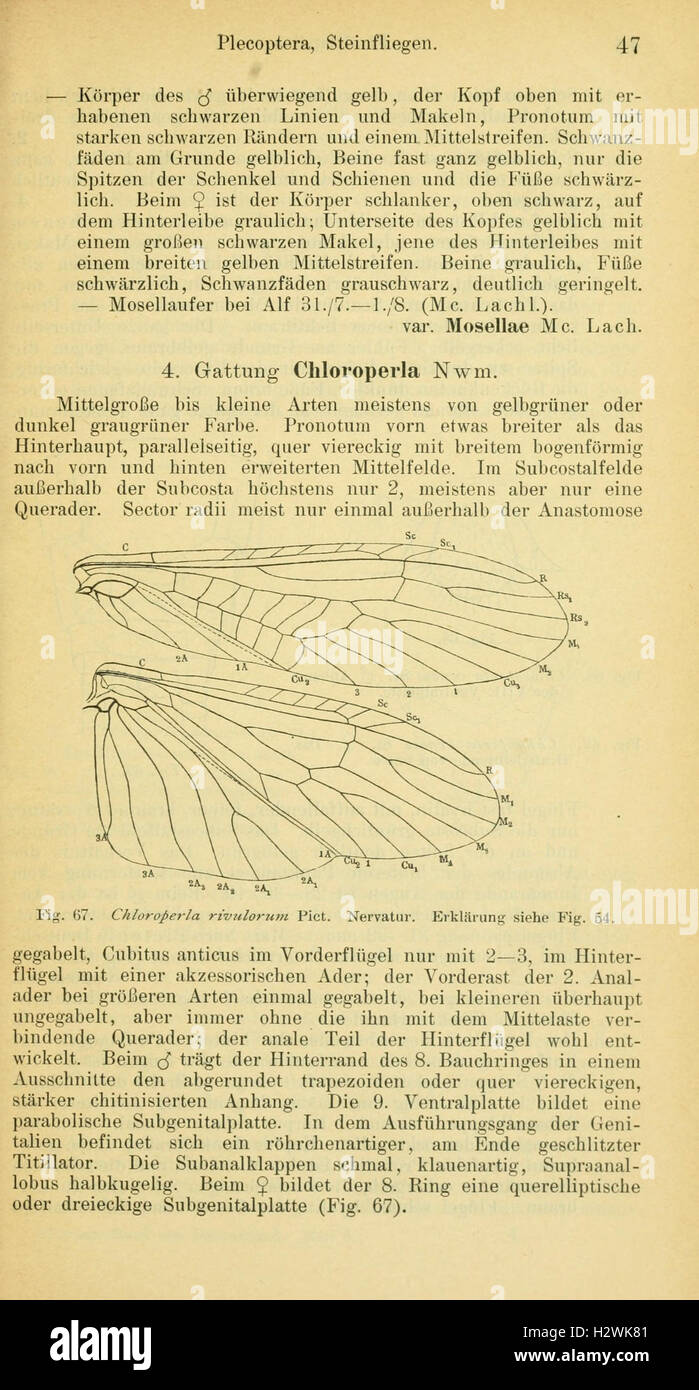 This entomological work covers the Ephemerida, Plecoptera, and ...