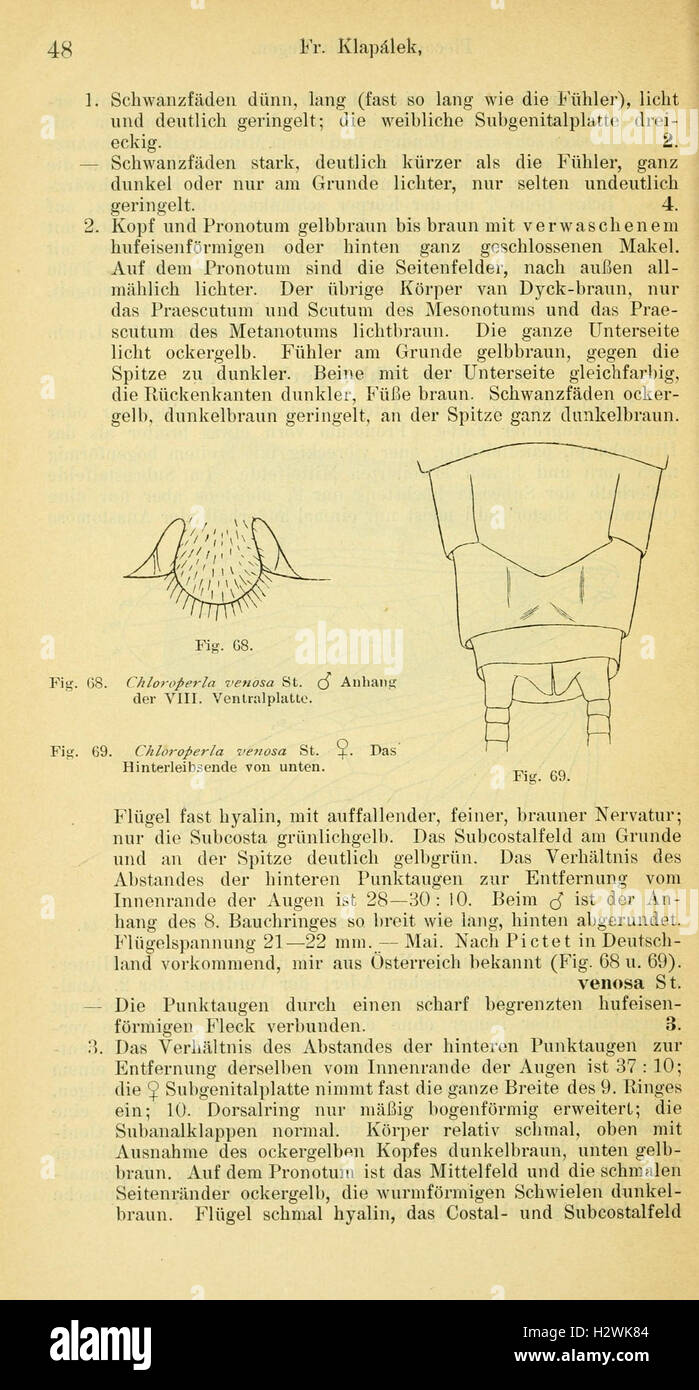 Ephemerida, Plecoptera, Lepidoptera (Page 48) BHL82 Stock Photo - Alamy