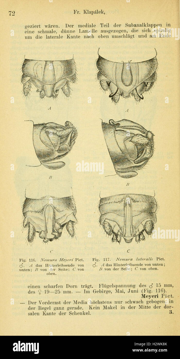 This text focuses on the classification and characteristics of three ...