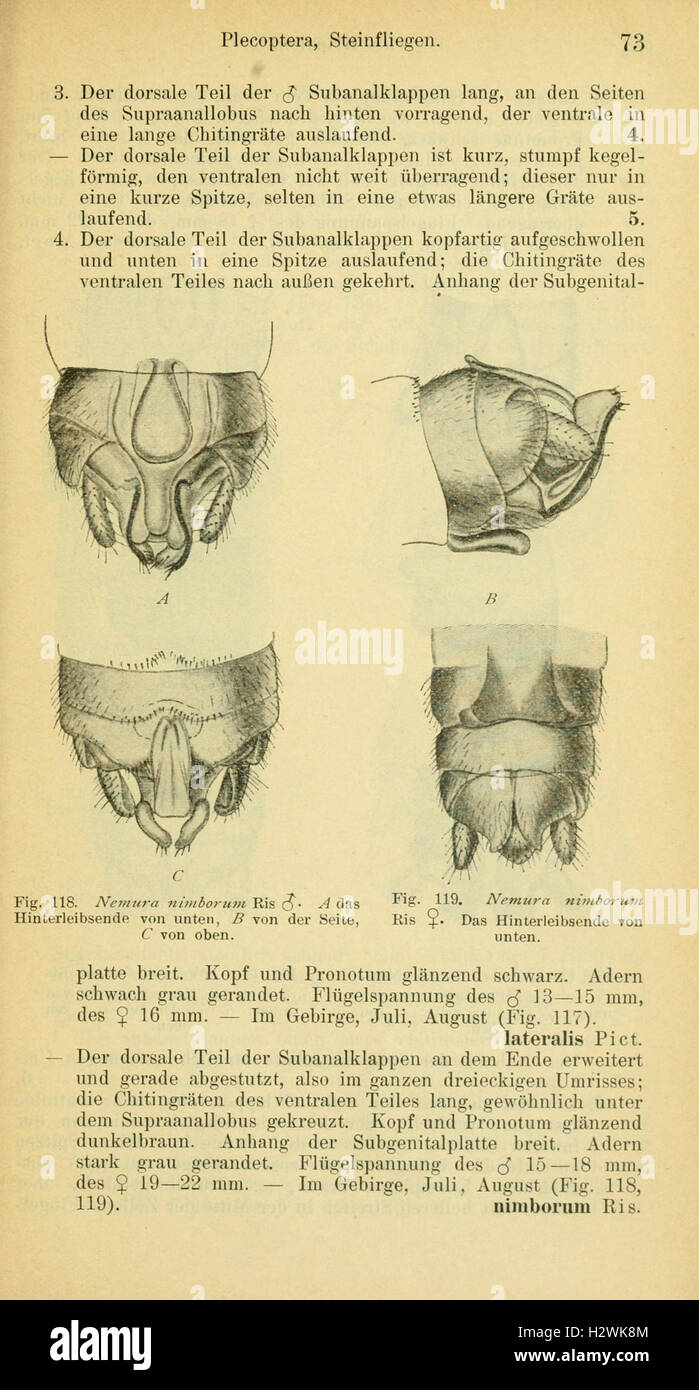 This page covers the study of Ephemerida, Plecoptera, and Lepidoptera ...