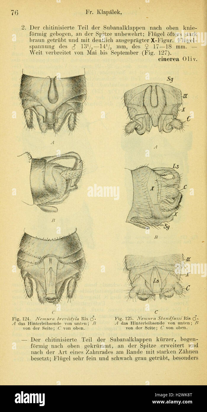 A scientific study detailing three insect orders: Ephemerida ...