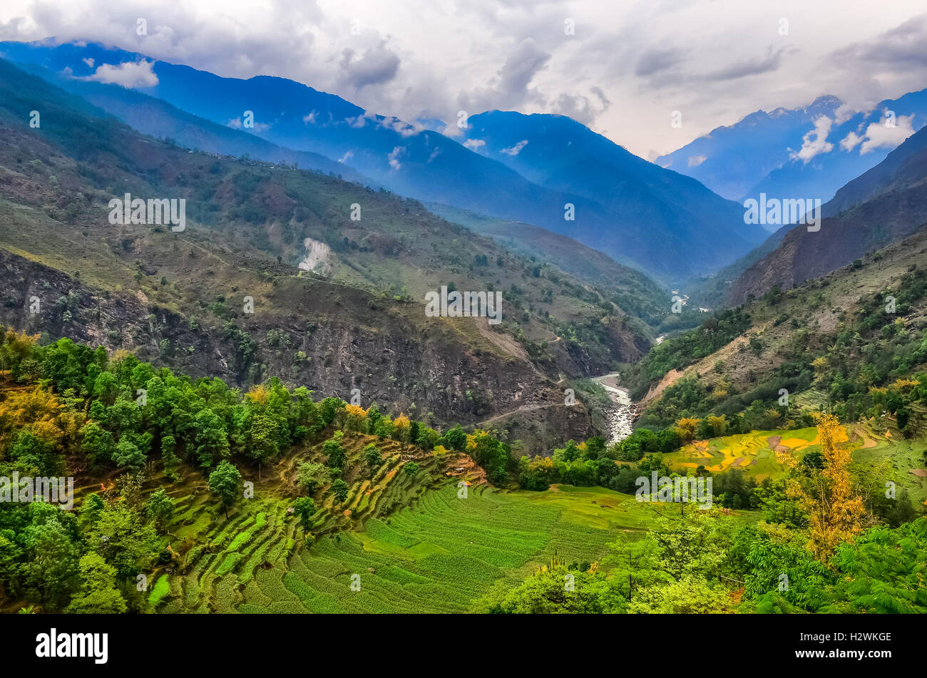 Tropical mountain landscape with fields in Nepal Stock Photo - Alamy
