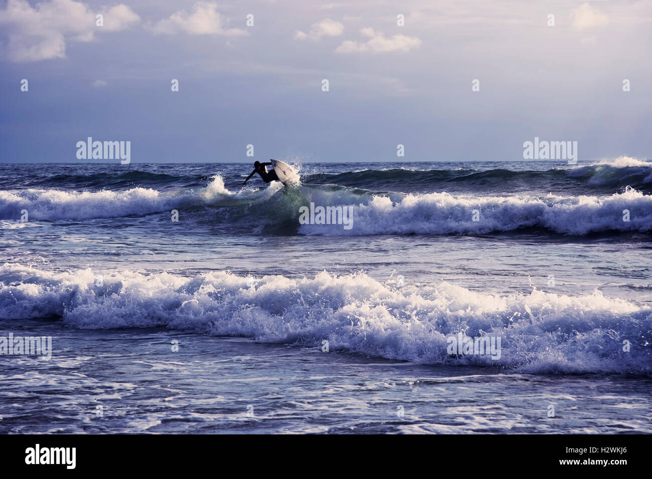 Riding the wave Stock Photo - Alamy
