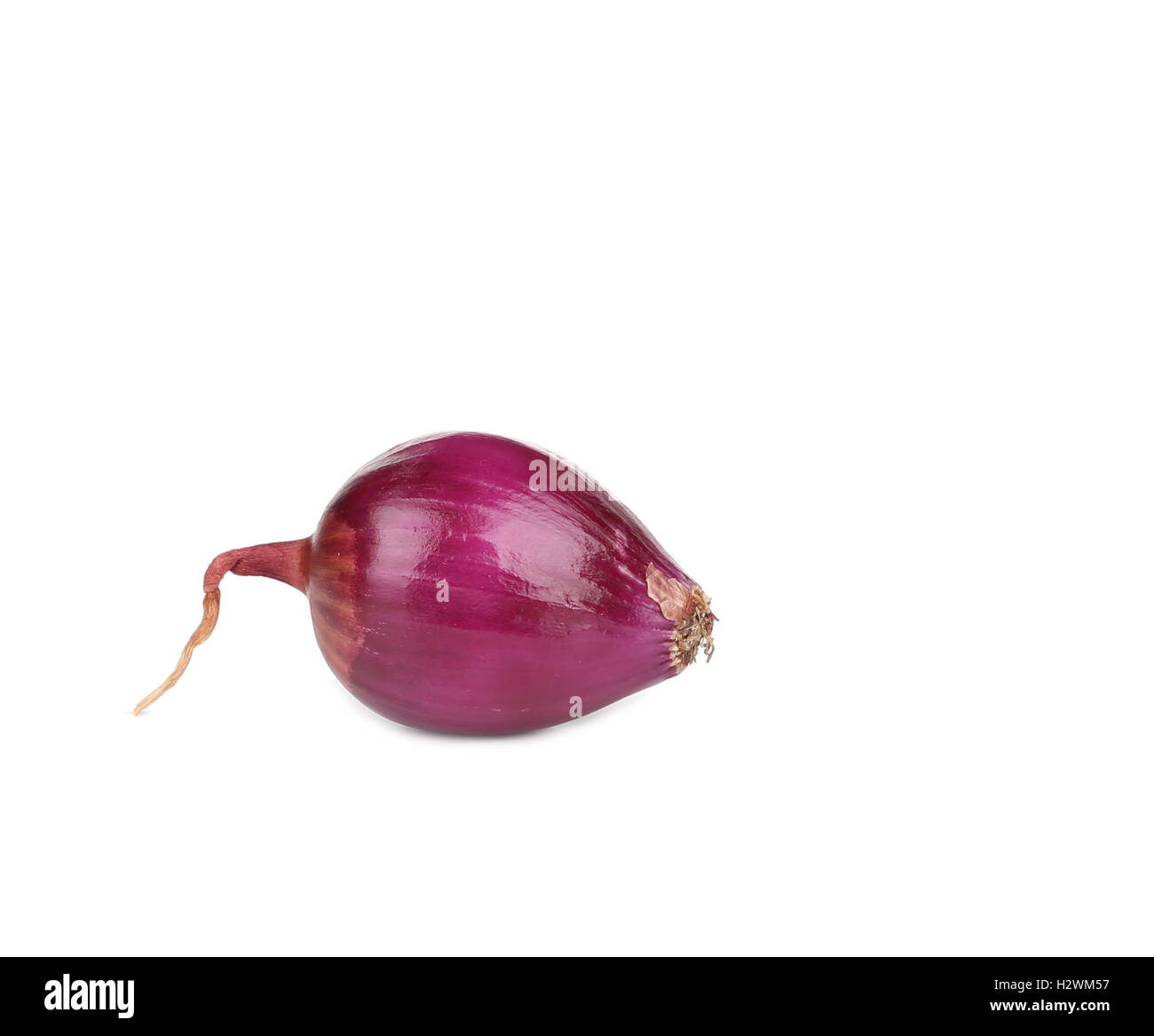 One red onion Stock Photo - Alamy