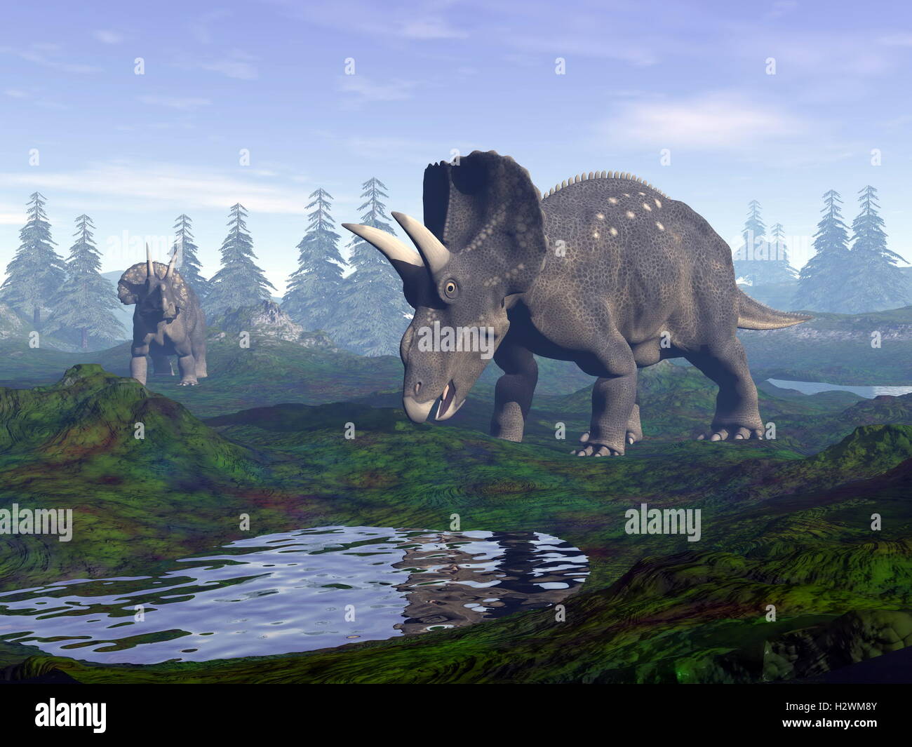 Diceratops dinosaurs in mountain - 3D render Stock Photo - Alamy