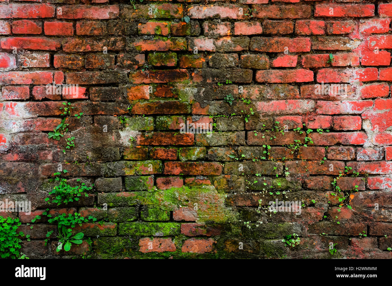 Detail of old weathered brick wall Stock Photo - Alamy