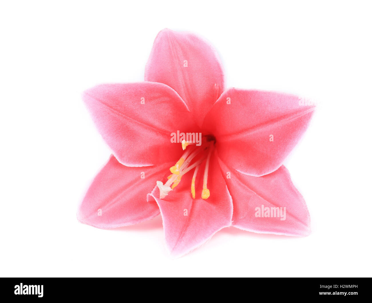 Top view flower arrangement Cut Out Stock Images & Pictures - Alamy