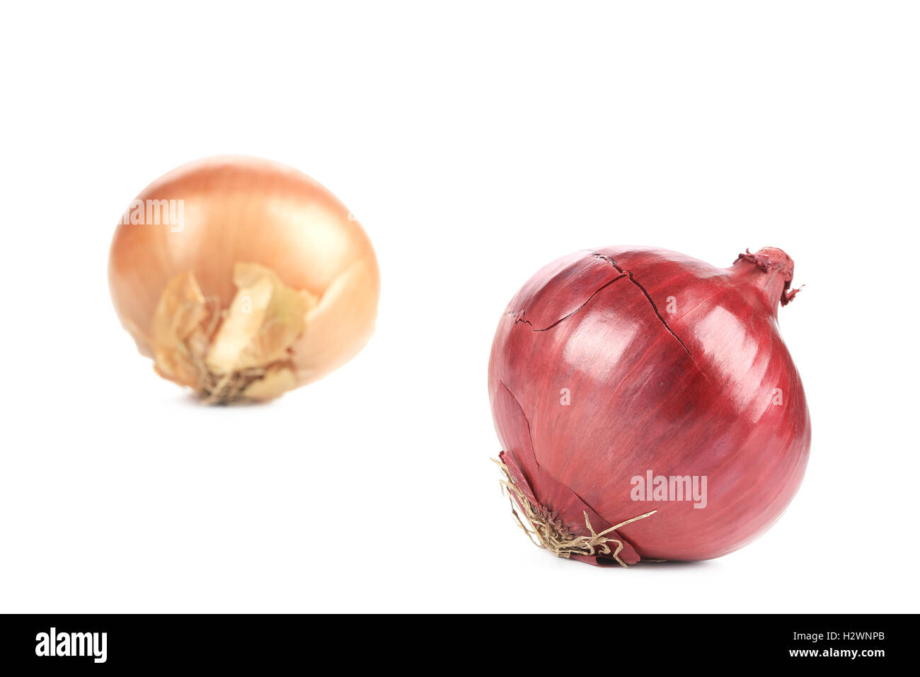 Onion vegetable bulbs Stock Photo - Alamy