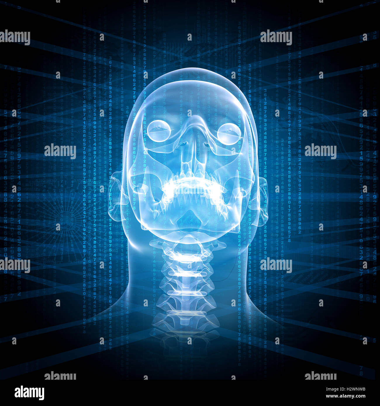 X-ray image of a man's head Stock Photo - Alamy