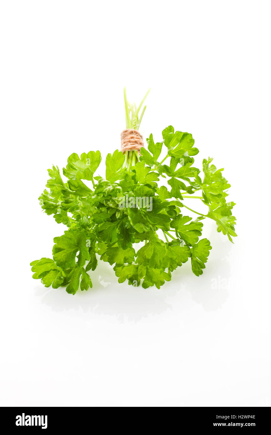 Parsley bundle isolated on white Stock Photo - Alamy