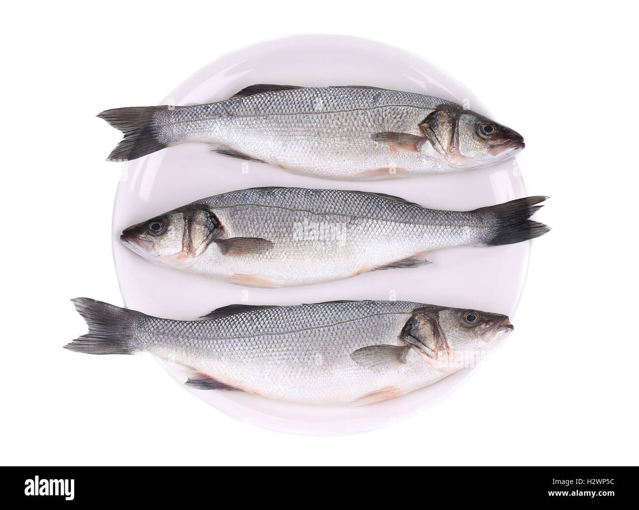 Three fresh seabass fish on plate Stock Photo - Alamy