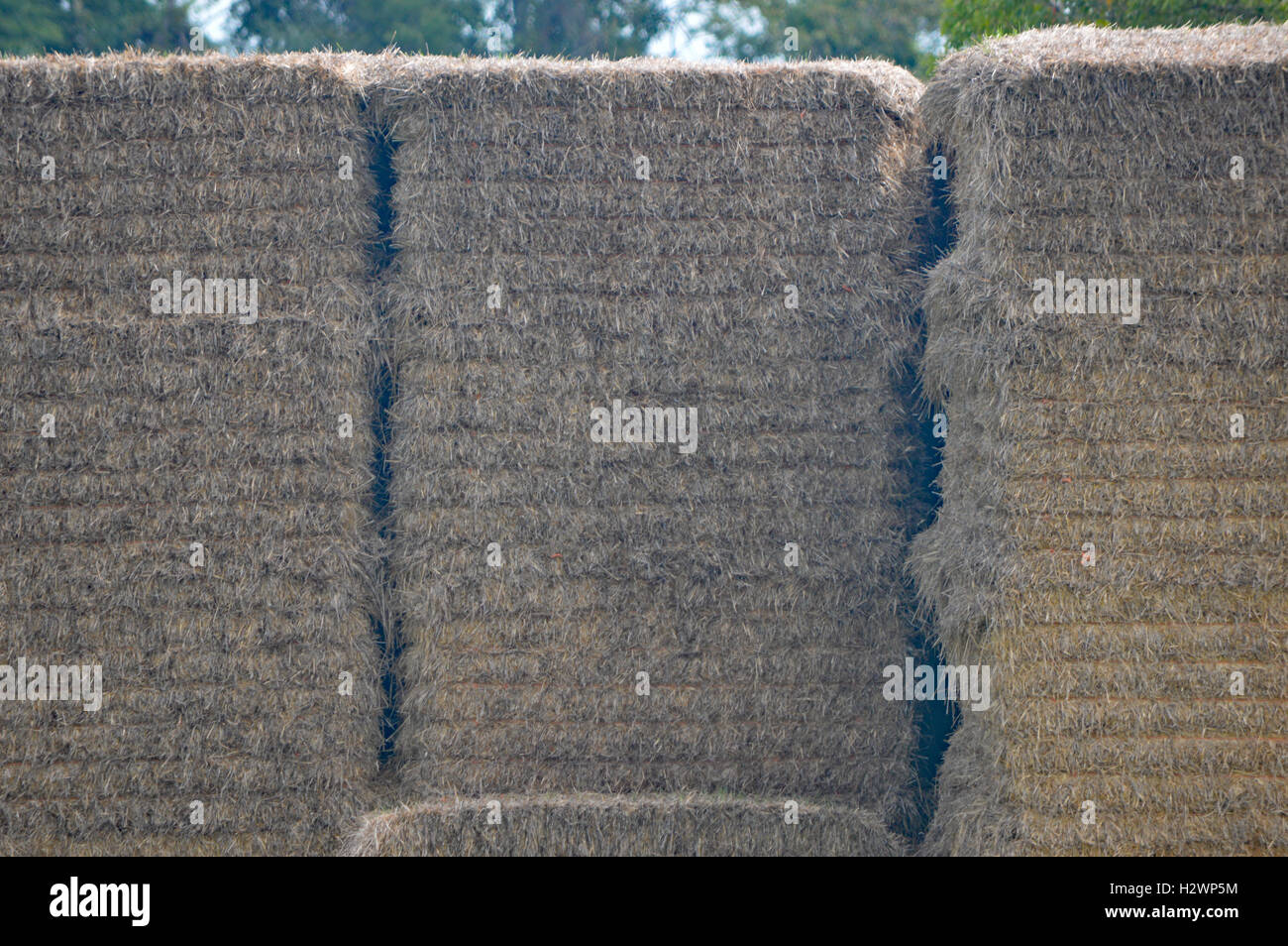 Large hay stack hi-res stock photography and images - Alamy