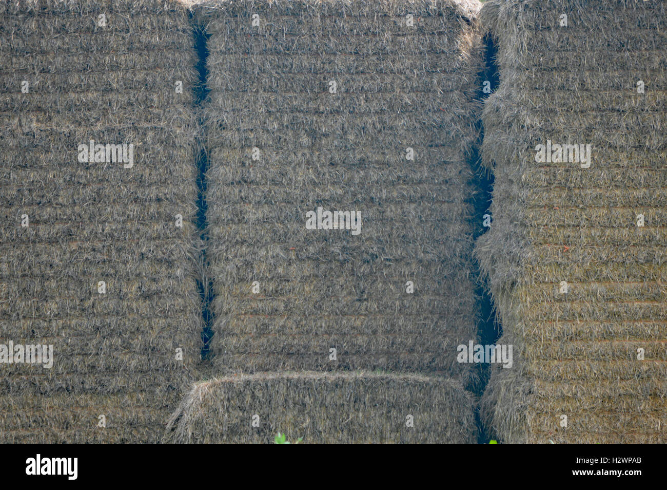 Cecil pattern hi-res stock photography and images - Alamy