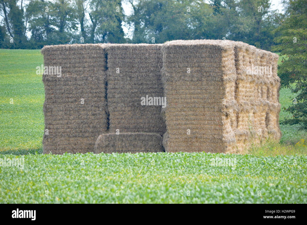 Large Hay Stack High Resolution Stock Photography and Images - Alamy