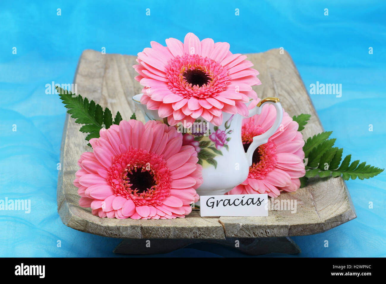 Gracias (thank you in Spanish) with pink gerbera daisies Stock Photo ...