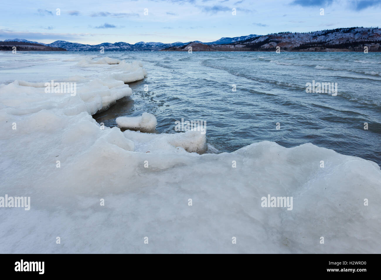 Shore ice sheet Lake Laberge Yukon Territory Canada Stock Photo - Alamy