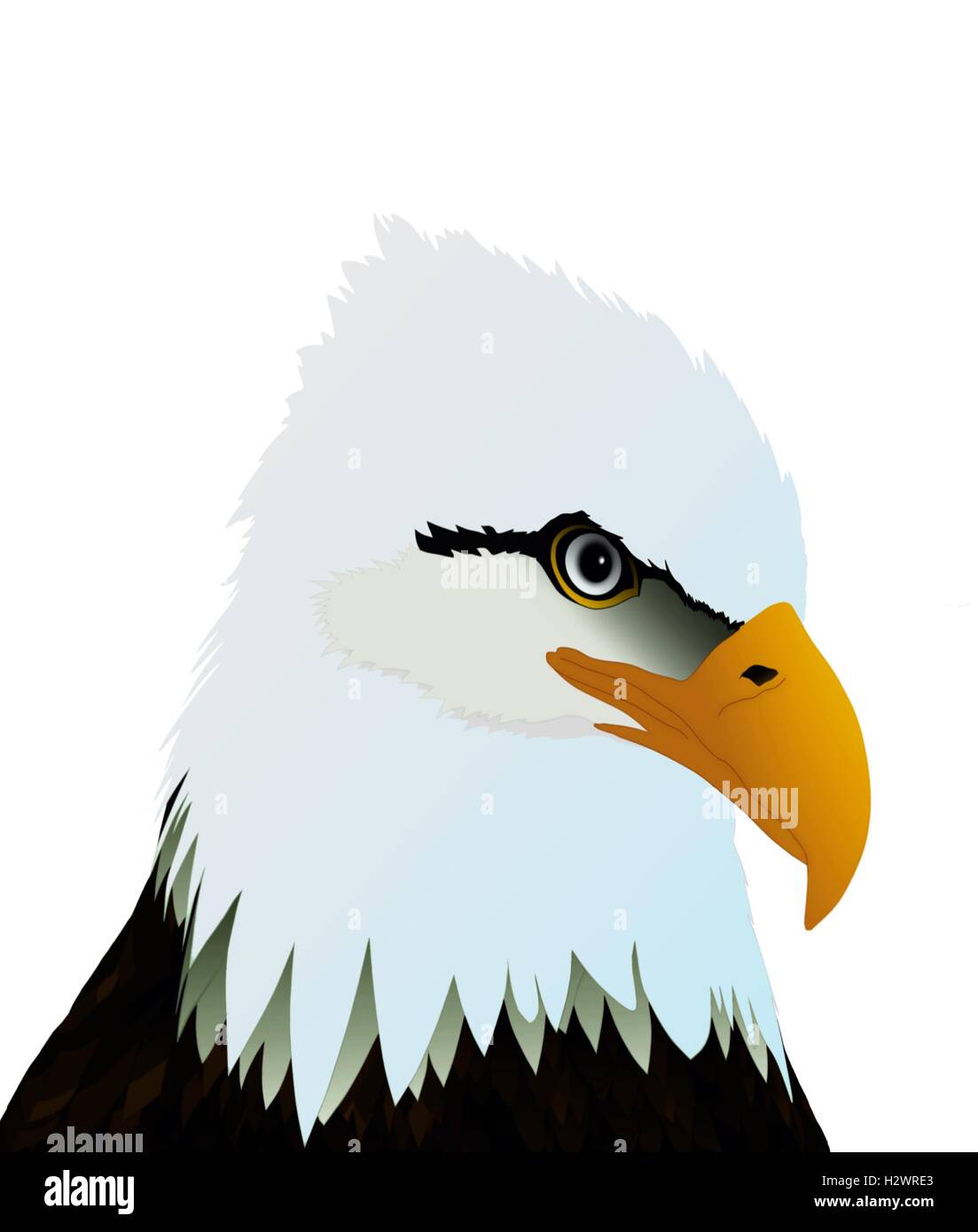 Bird head shape hi-res stock photography and images - Alamy