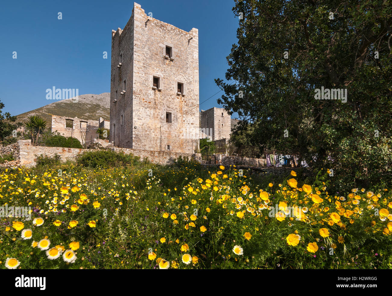 Stone tower house and wild flowers in the village of Kita, in the Deep ...