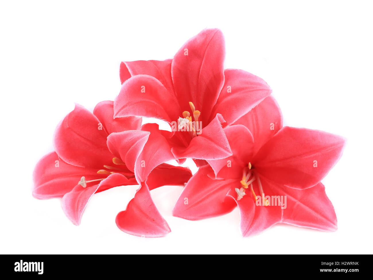 Top view flower arrangement Cut Out Stock Images & Pictures - Alamy