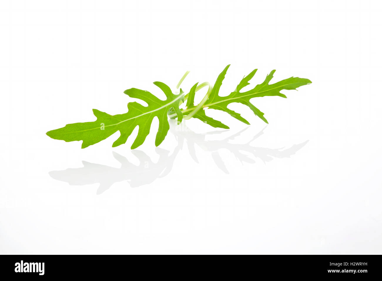 Arugula leaves isolated Stock Photo - Alamy