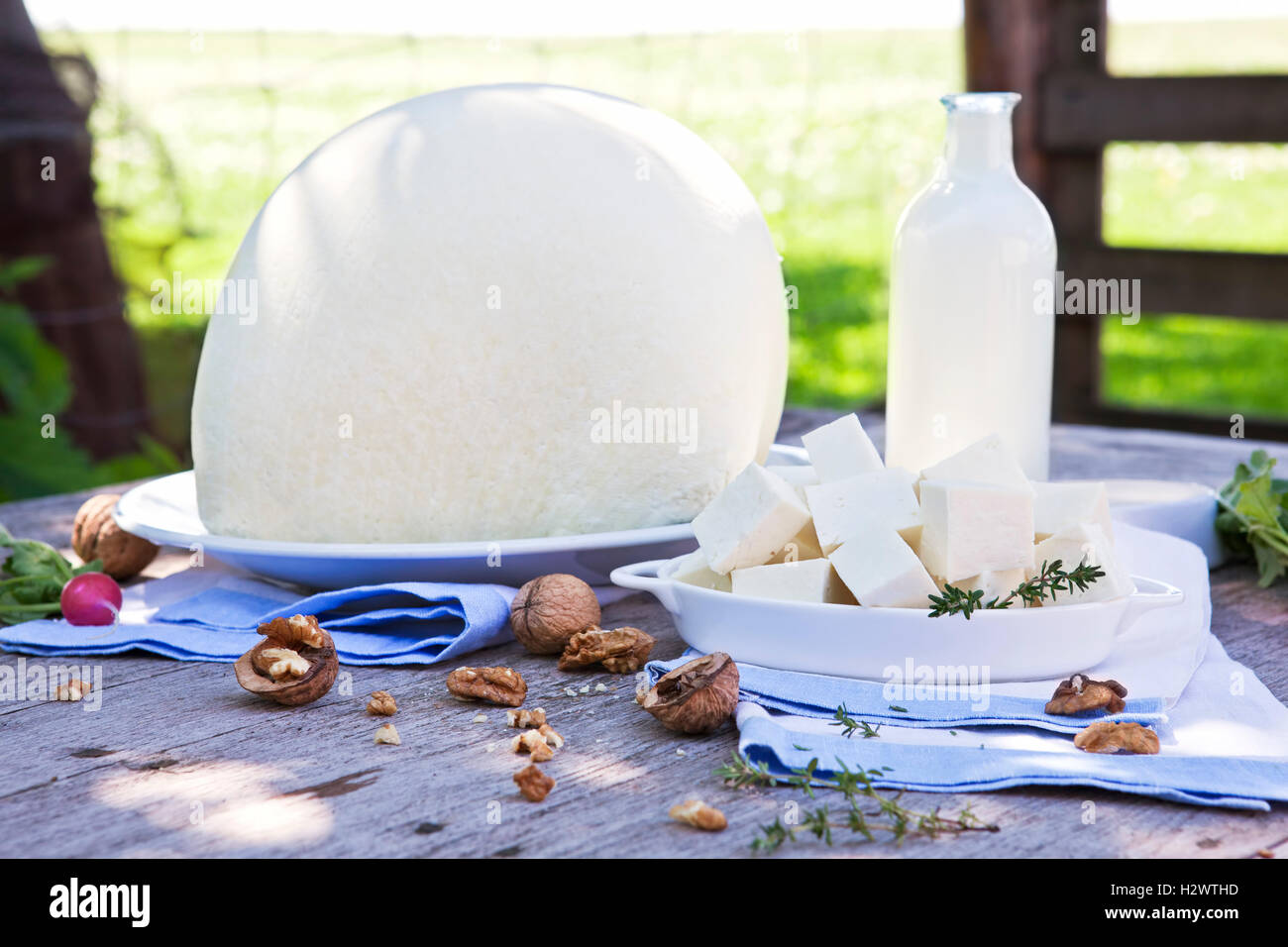 Traditional white cheese Stock Photo - Alamy