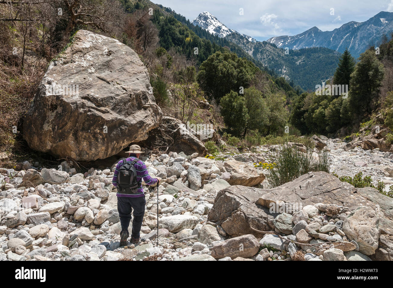 Trekking in the Karion Gorge high in the Taygetos mountains, Outer Mani ...