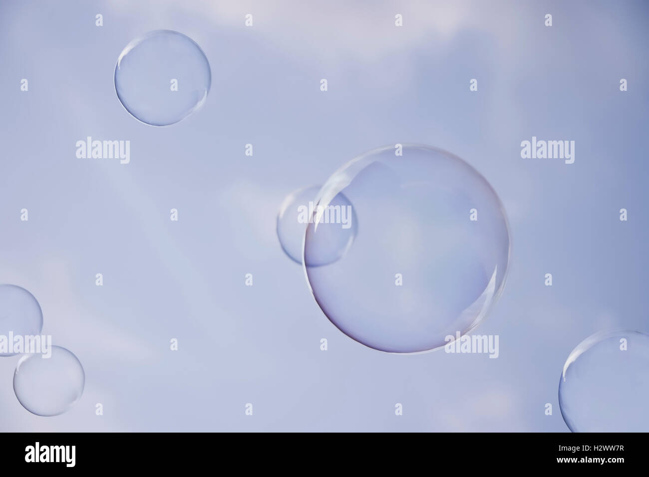 Soap bubbles in the air Stock Photo - Alamy