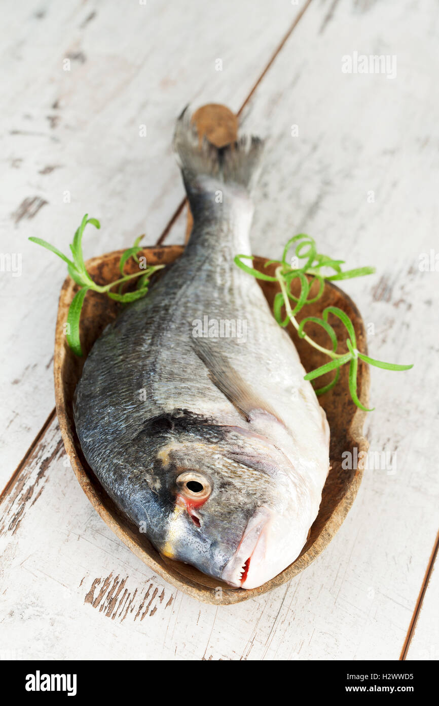 Luxurious natural seafood Stock Photo - Alamy