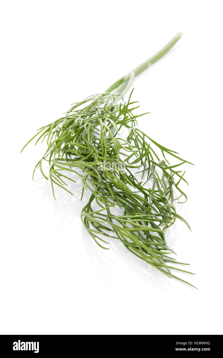 Vertical shot branch white Cut Out Stock Images & Pictures - Alamy