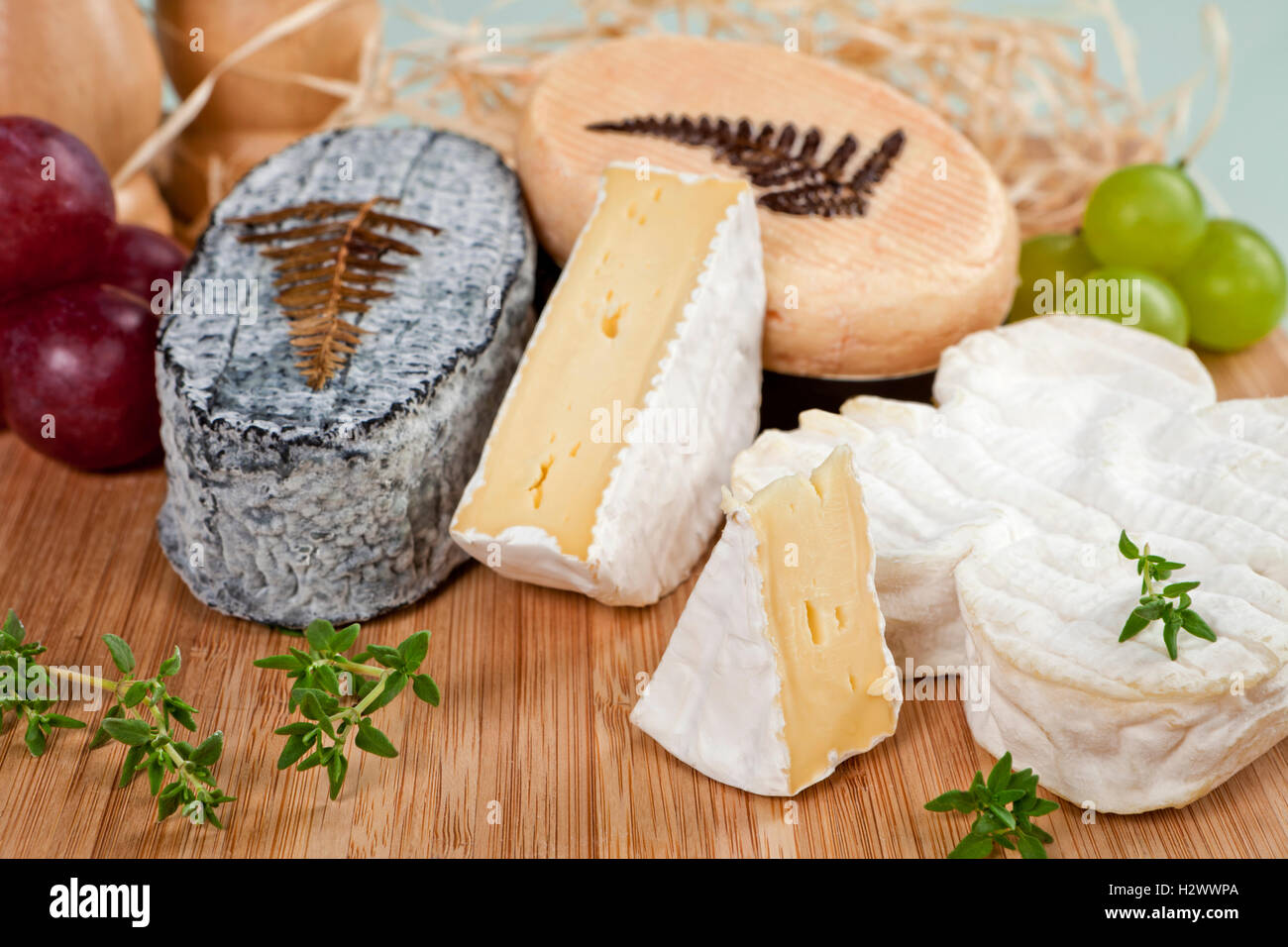 Luxurious cheese variation Stock Photo - Alamy