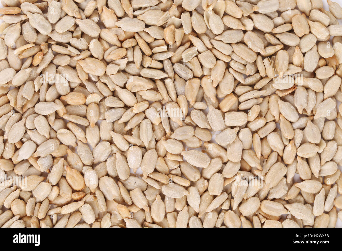 Background of sunflower seeds Stock Photo - Alamy