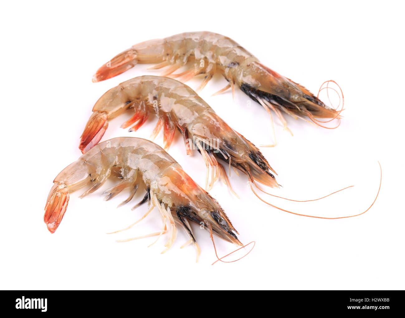 Three raw shrimp Stock Photo - Alamy