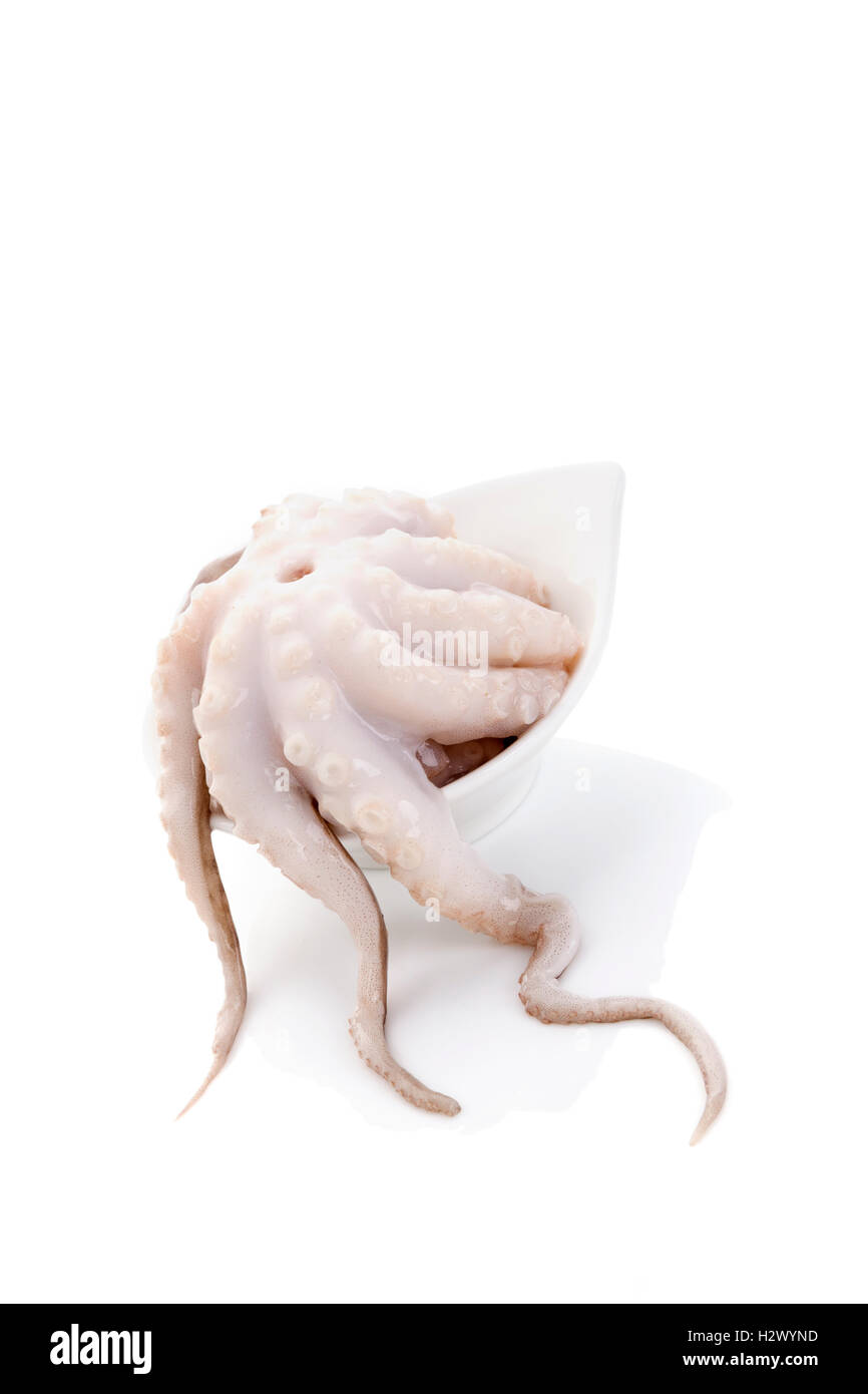 Octopus studio Cut Out Stock Images & Pictures - Alamy